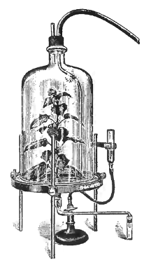 Gallenkamp (c. 1939)