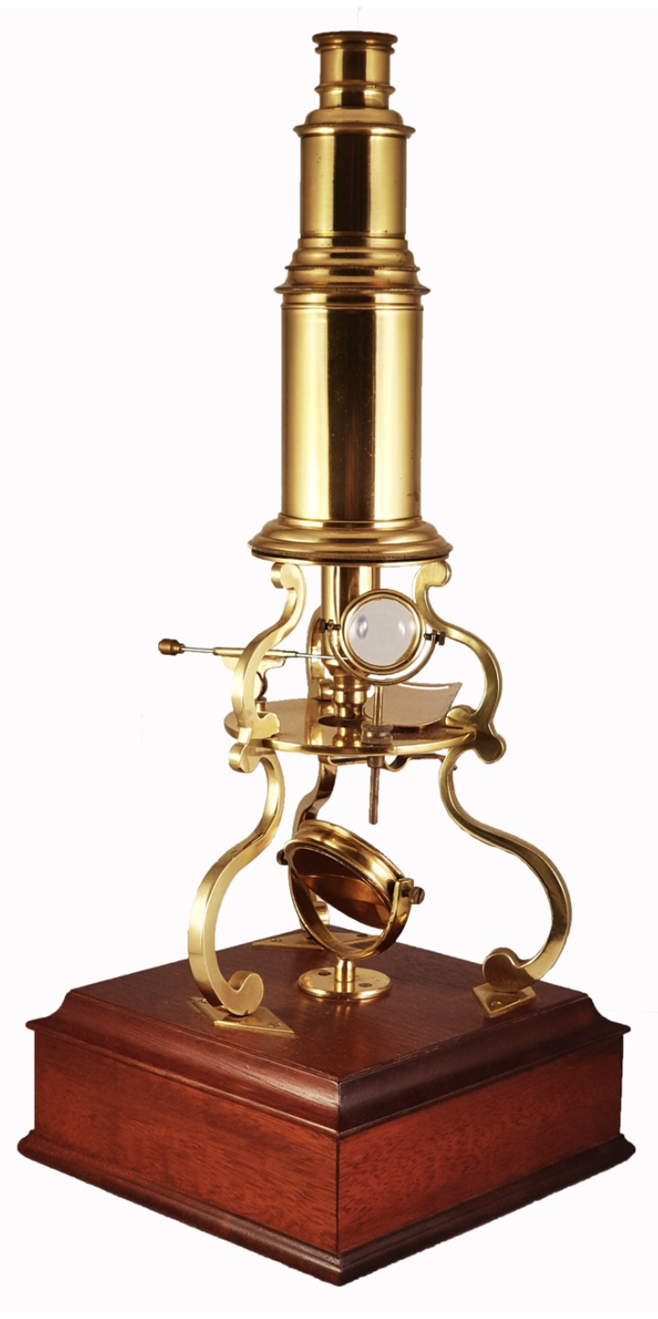 A picture containing indoorDescription automatically generated