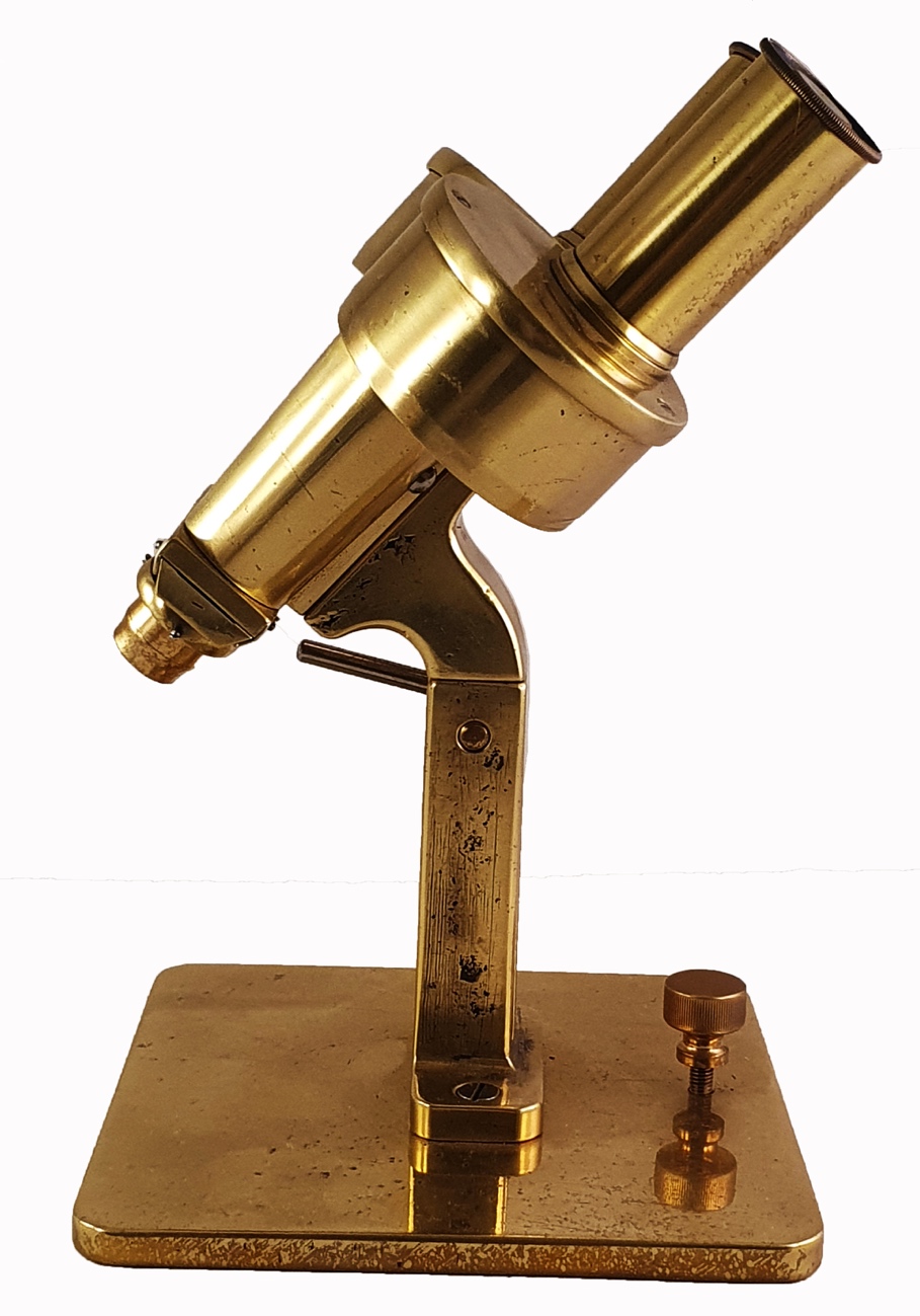 A gold microscope on a white backgroundDescription automatically ...