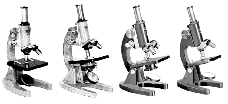 A pair of microscopesDescription automatically generated